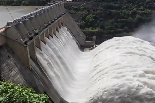 पंजाब पर फिर खतरा! फिर खोले गए Bhakra Dam के खोले फ्लडगेट, बेघर हुए कई ...